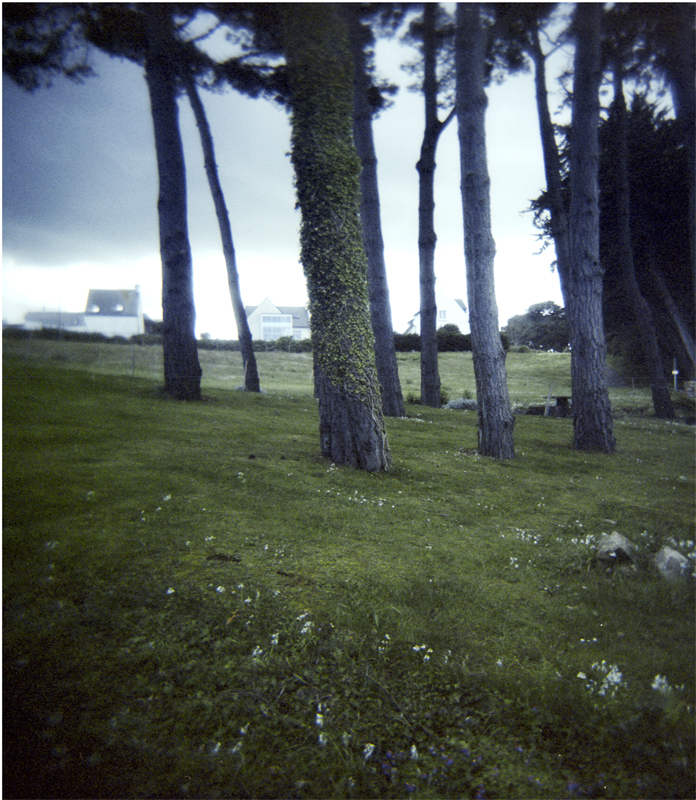 Portée par le vent – Amélie Berthou
